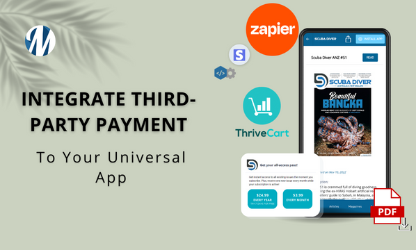 Universal App Integration with third party payment systems - Blog