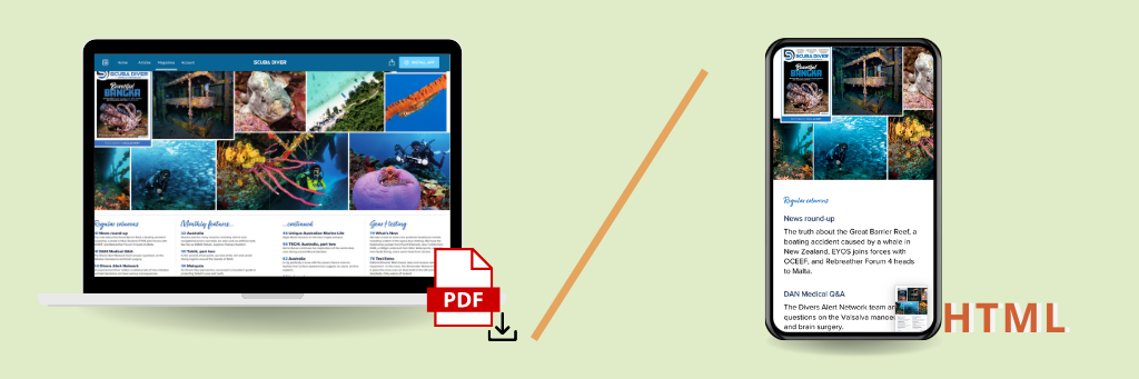 Widen Your Reach: Why You Should Consider a PDF to HTML Tool - Blog