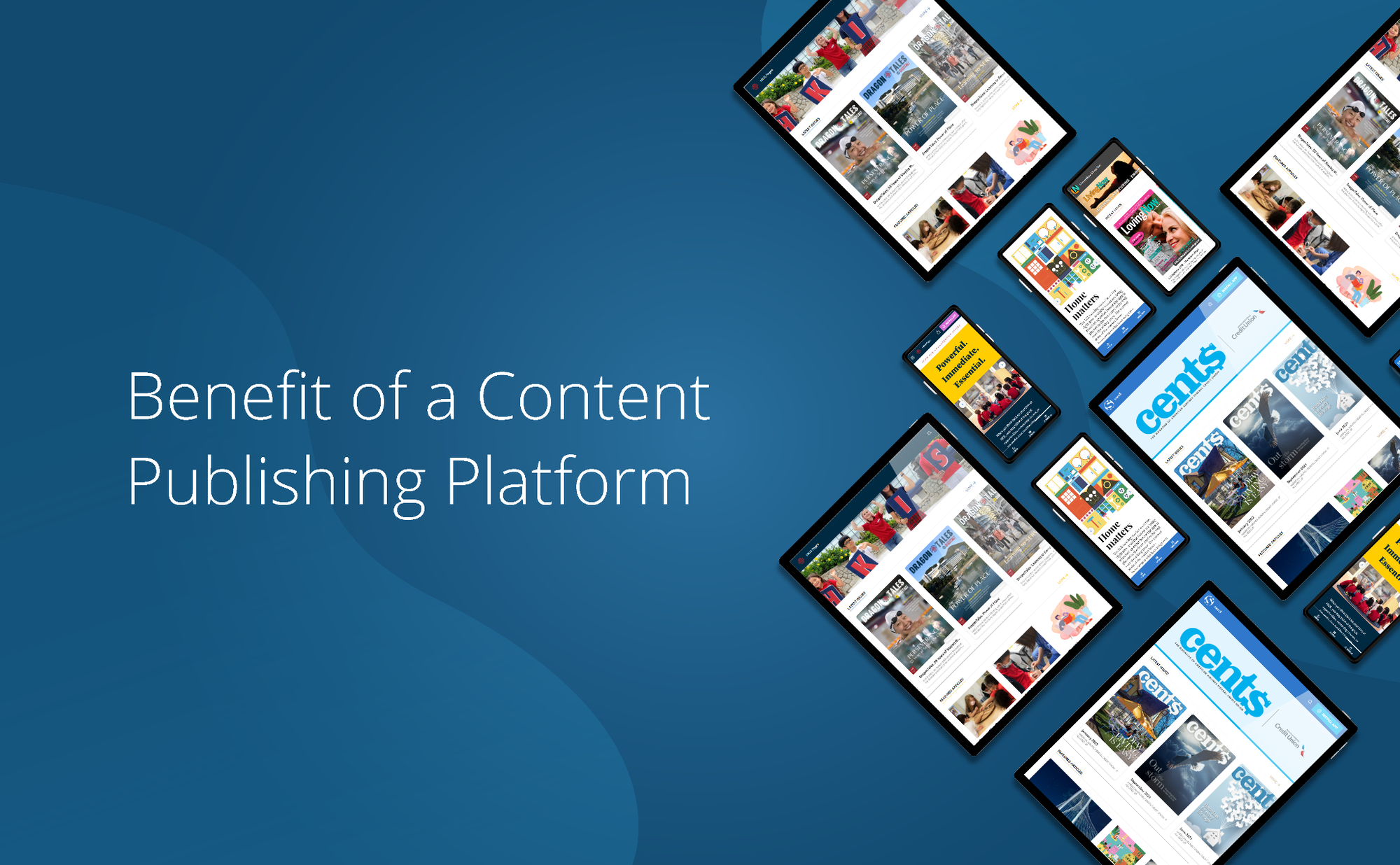 The Best Content Publishing Platforms for Professional Publishers - Blog